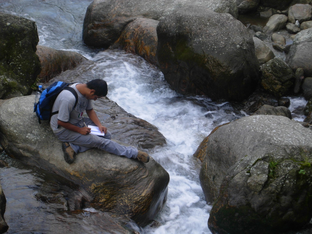 Four essentials that help you travel better | Travel and You